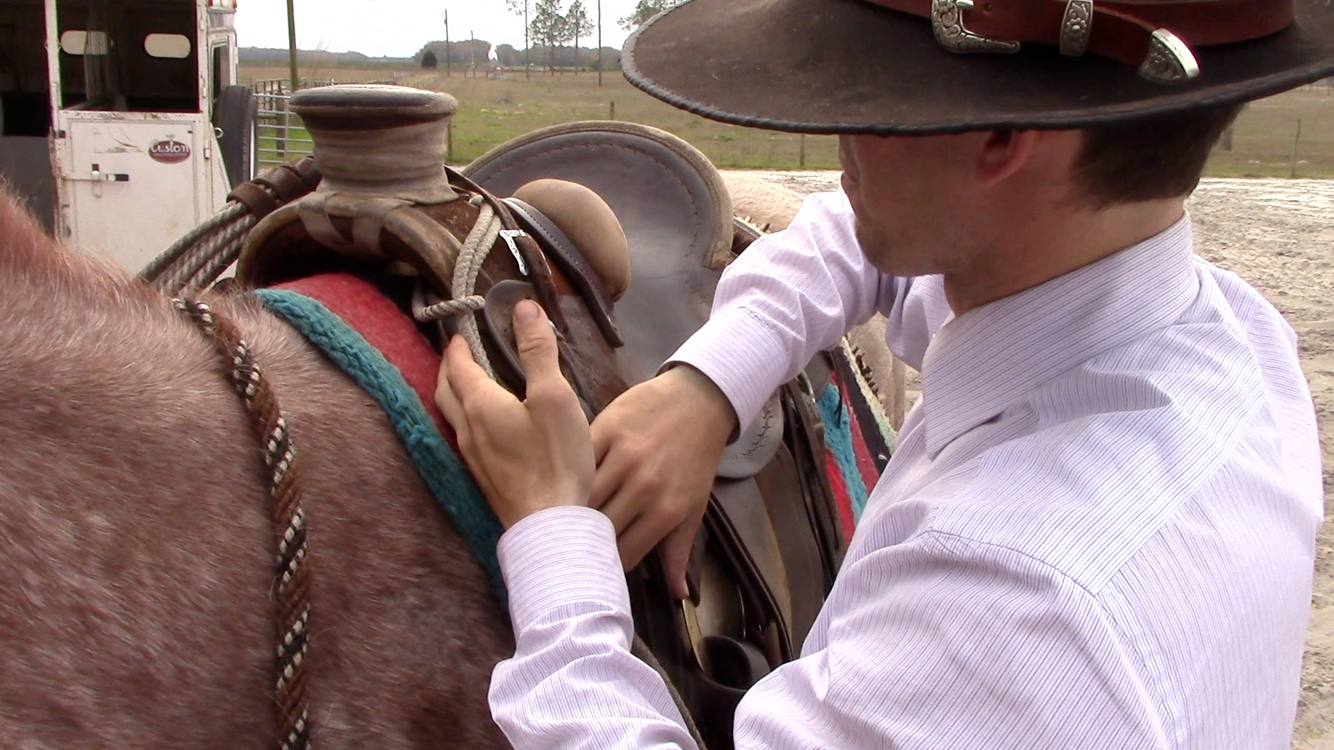 Saddle Fitting | How To Fit A Saddle To A Horse
