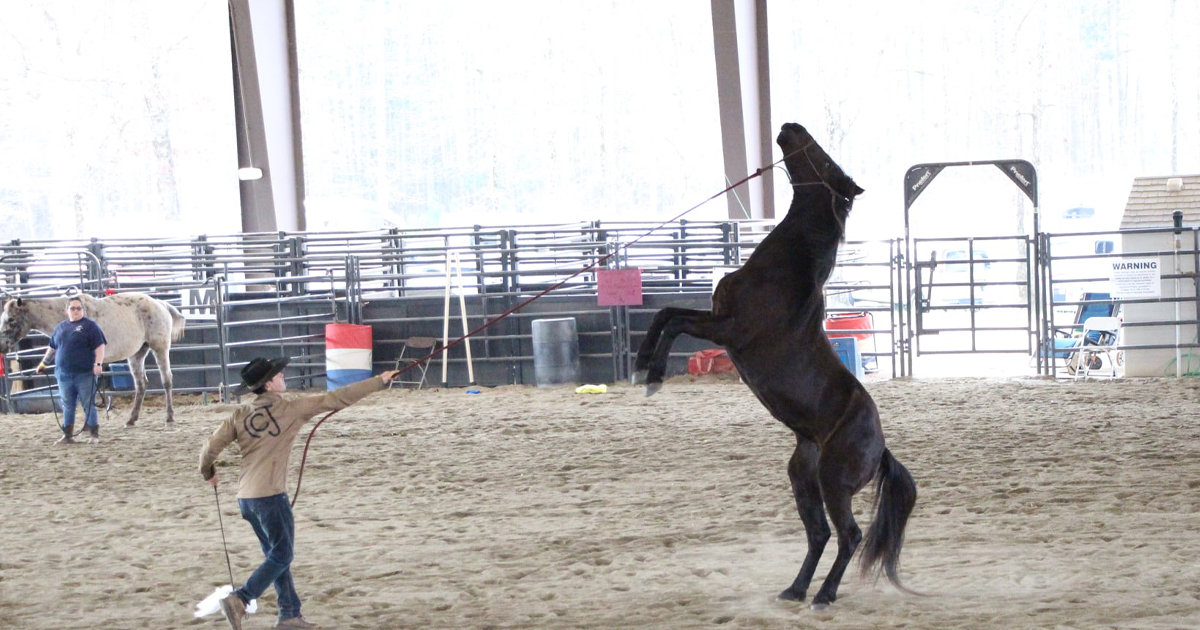Out Of Control Horse | Carson James Blog