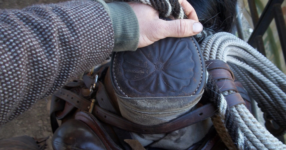 Trust Your Horse | Carson James Blog