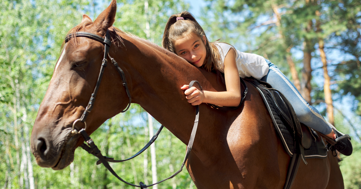 3 Requirements For A Safe Horse | Carson James Blog