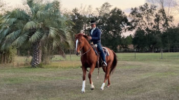 Carson James Blog | Real. Simple. Horsemanship.